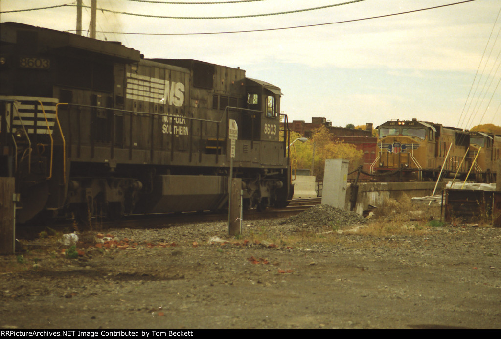 Meet western visitors